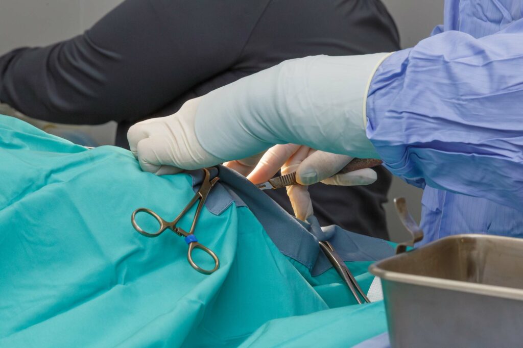 Surgery - Middlebury Animal Clinic